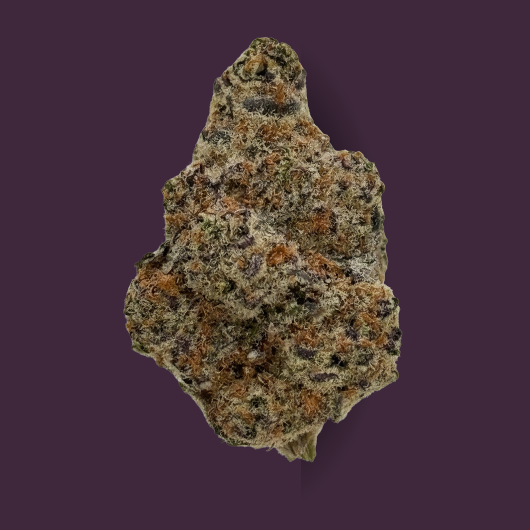 Flower – ThePurpleHaze
