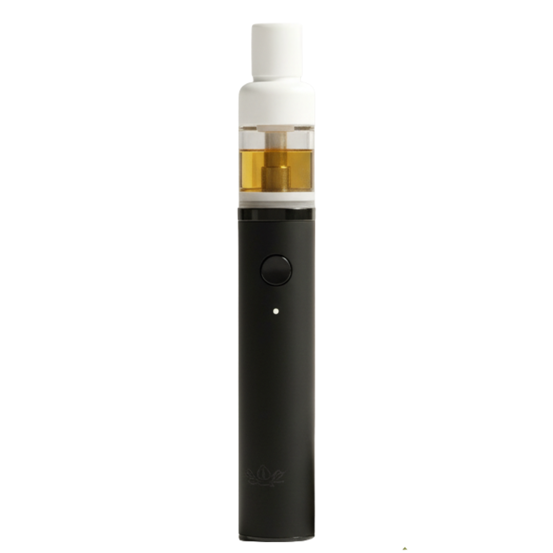 Northern Light Vape – thepurphaze