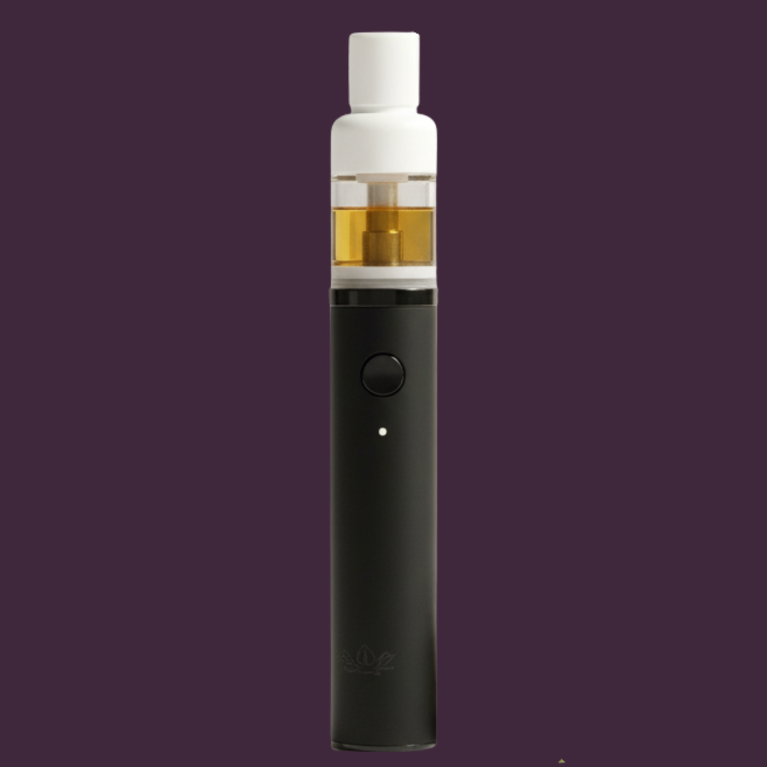 Northern Light Vape – thepurphaze